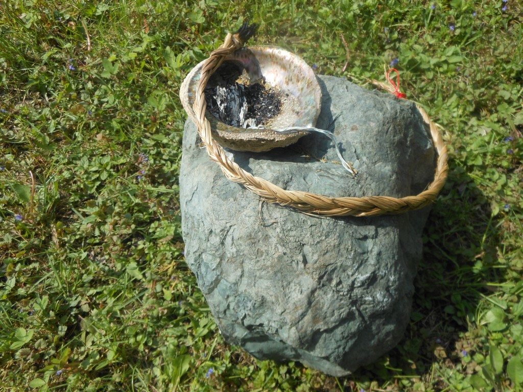 The Seven Direction Medicine Wheel~ Part 2 - WHOLISTIC HEALTH ...